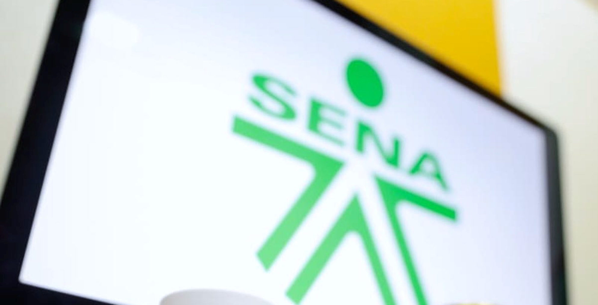sena: información y noticias de sena | Pulzo