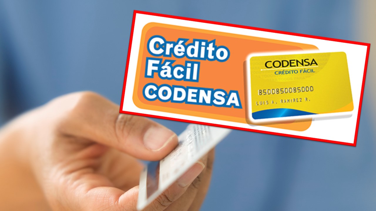 tarjeta de crédito: información y noticias de tarjeta de crédito | Pulzo