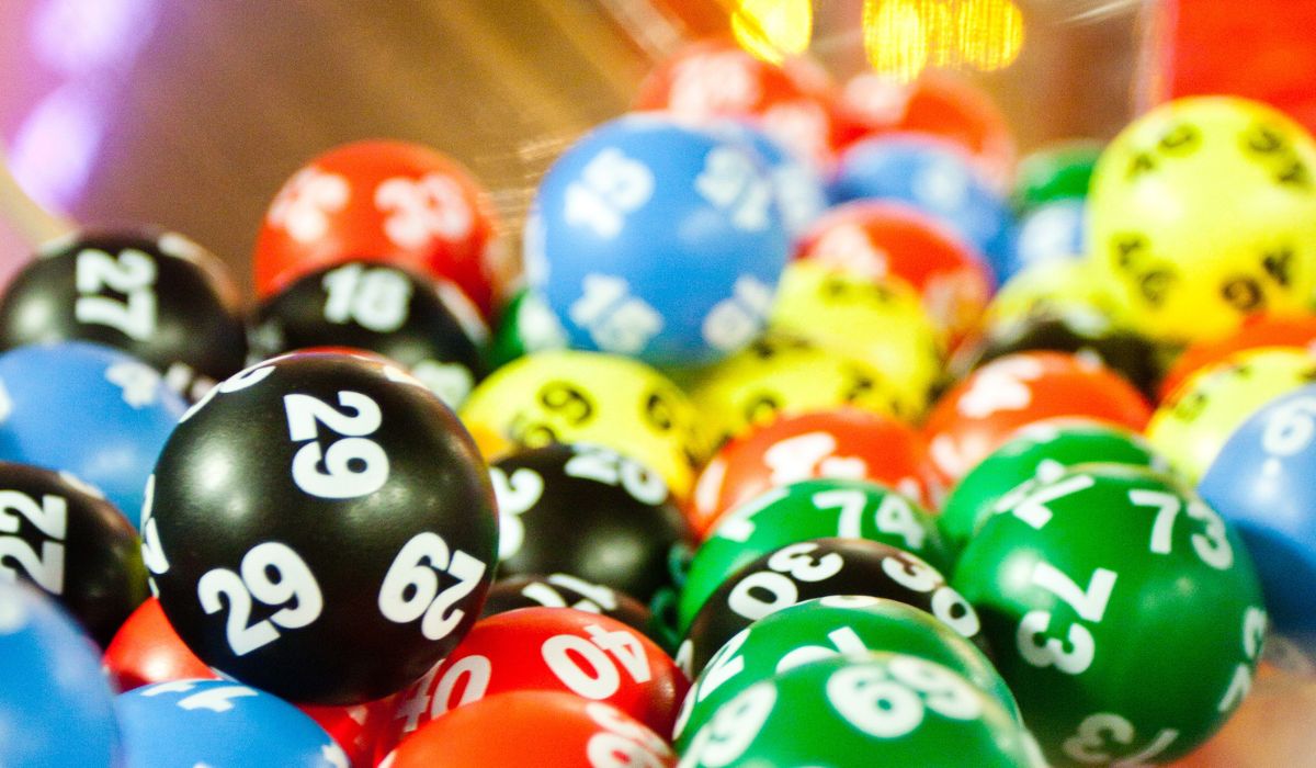 miloto: información y noticias de miloto | Pulzo