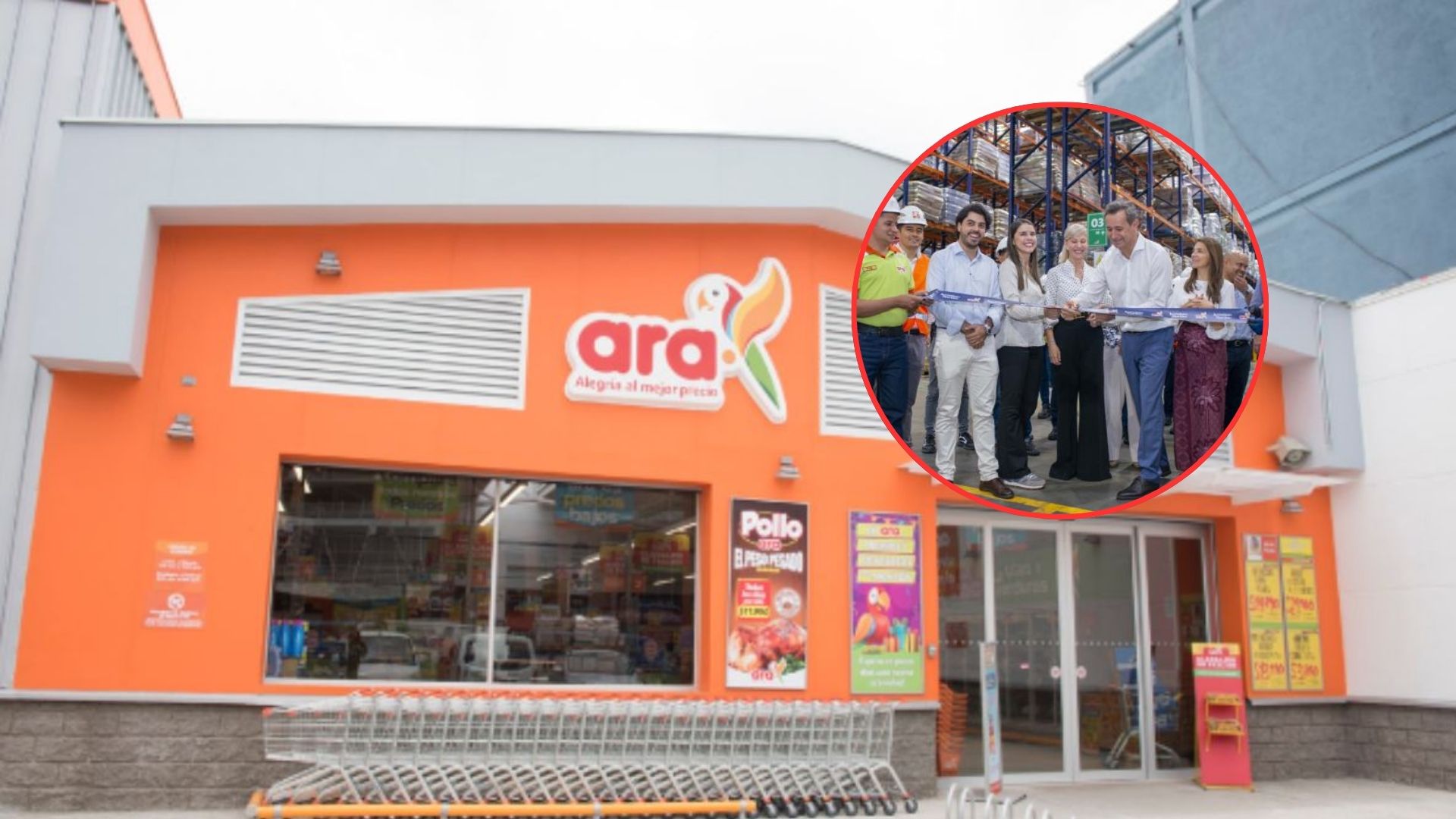 ara: información y noticias de ara | Pulzo