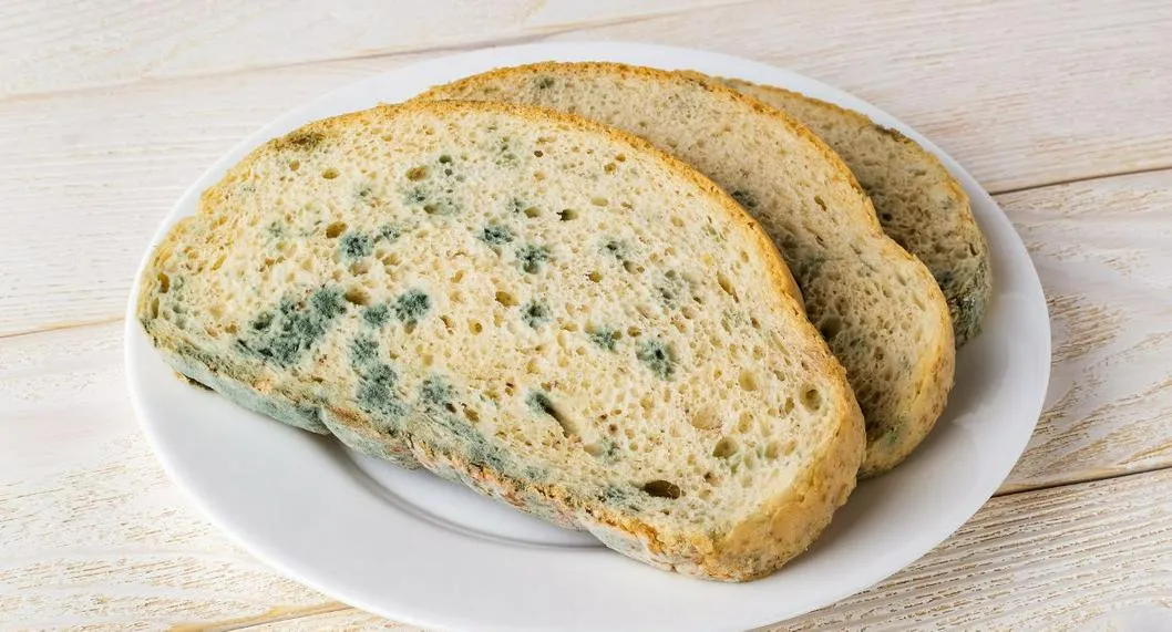 Qué pasa si como un alimento que tenga moho, según expertos: peligros y más